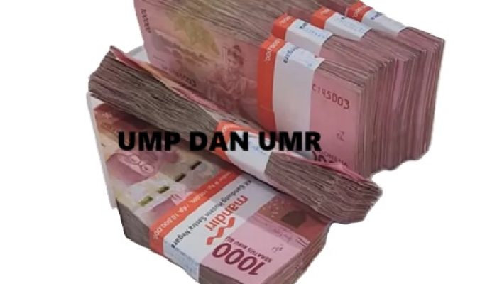 Pemerintah Tetapkan UMR dan UMP 2025 di Semua Provinsi, Ini Rincian ...