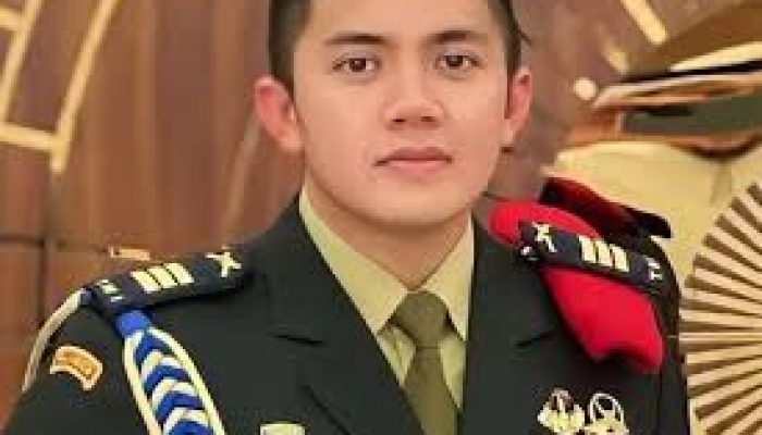 delapan Brigadir Jenderal (Brigjen) TNI meraih promosi jabatan dan naik ...